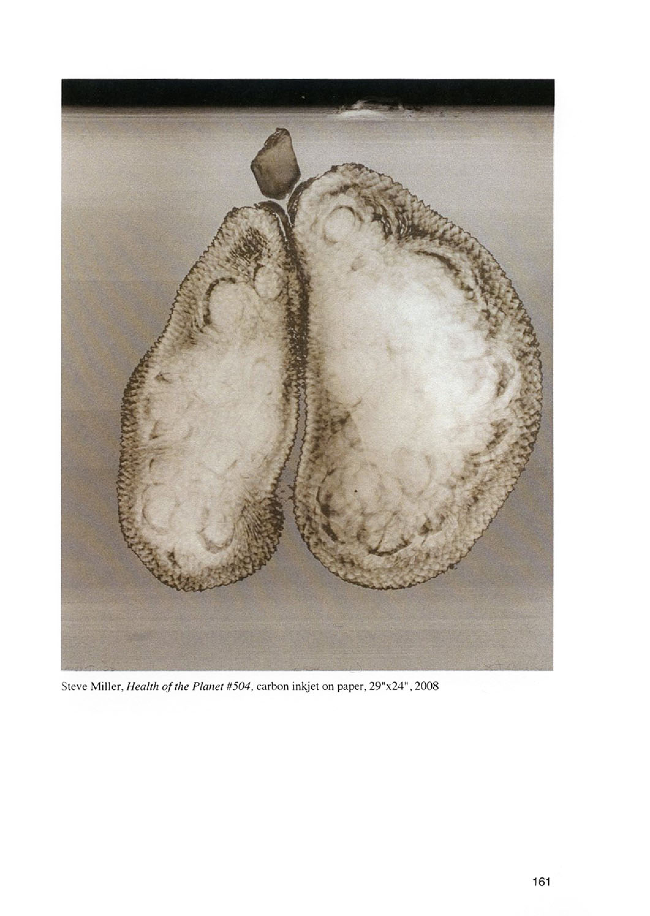 Stone Canoe Journal – stevemiller.com